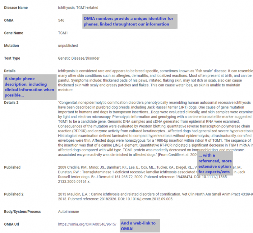 HGTD This week, 28 May 2020: How OMIA is key to HGTD, and more ...