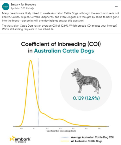 "The Downside of Inbreeding" - Brenda's Blog - DogWellNet