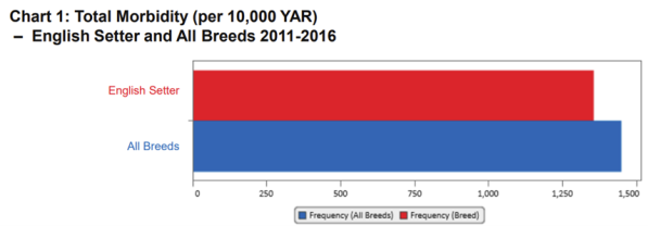 Get a GRIHP! on English Setters - Breed-Specific Health Reports ...