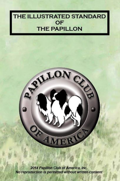 Papillon - Pedigree Breeds - DogWellNet