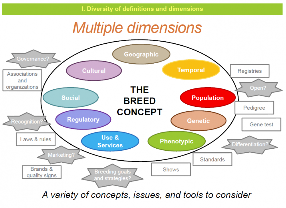 DEFINITION OF 'BREED' ACROSS SPECIES AND COUNTRIES: CROSSCUTTING ...